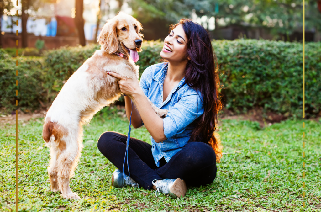 The Rise of Pet Influencers: How Brands Can Win the Hearts (and Wallets ...